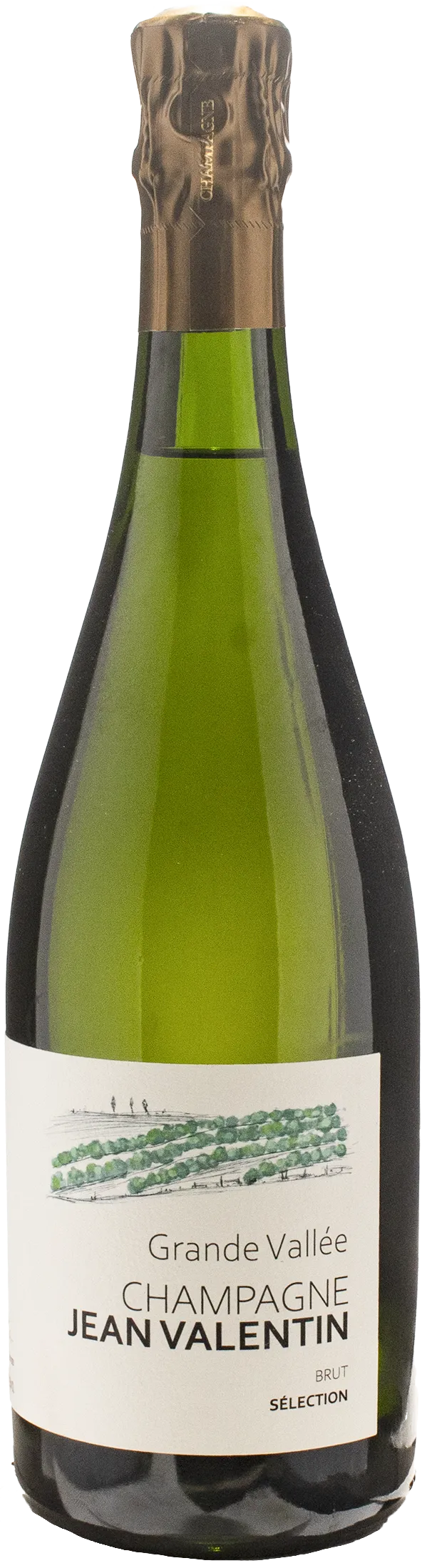 Jean Valentin Champagne Grande Vallee Selection Brut | XtraWine