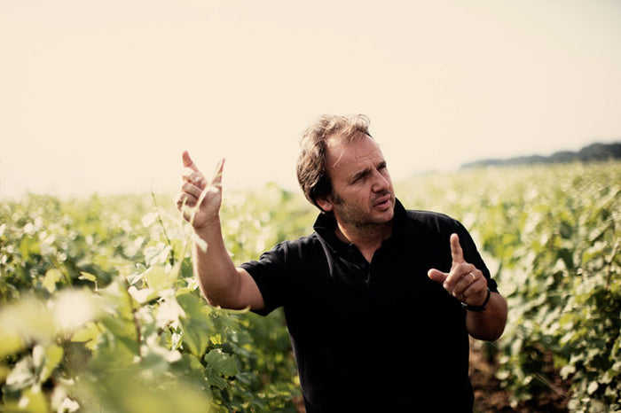 Jerome Prevost La Closerie Les Beguines | XtraWine